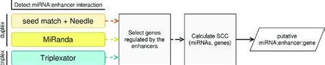 The Outline Of The Implemented Algorithm Download Scientific Diagram
