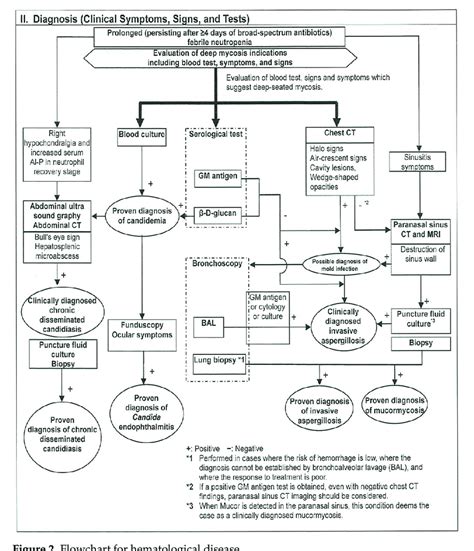 Hematology Disease Flow Chart Differential Algorithm For The Causes Of