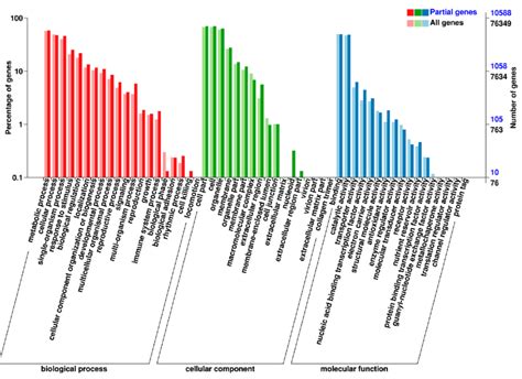 Functional Classification Of Differentially Expressed Genes Degs