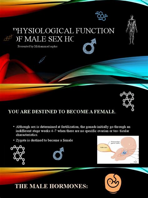 Physiological Functions Of Male Sex Hormone Presented Bymohammad Aqdus Pdf Androgen Physiological Functions Of Male Sex Hormone Presented Bymohammad Aqdus Pdf Androgen