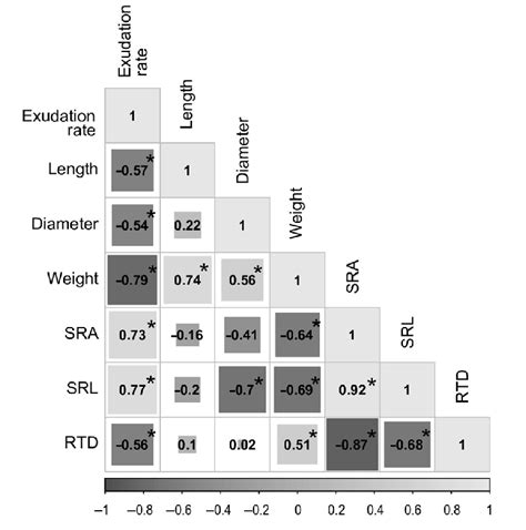 correlation between different root parameters exudation rate and