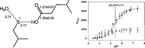 Aspartate Titration Curve