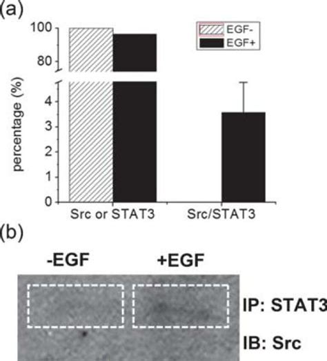 Rapid Detection Of Two Protein Interaction With A Single Fluorophore By Using A Microfluidic