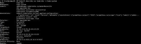 关于容器中dns解析错误问题 · issue 109 · kubeovn kube ovn · github