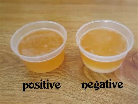 Positive Salt Pregnancy Test Quotes Viral