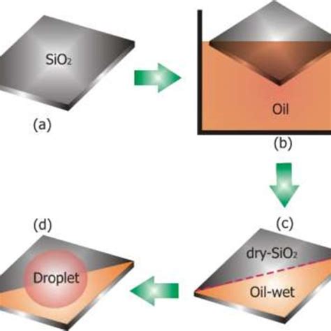 A Sio2 Substrate B Substrate Dipped Diagonally In Mustered Oil Download Scientific