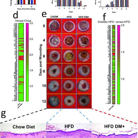 Human And Mice Skin Transcriptomic Single Cell Rna Seq Pseudobulk