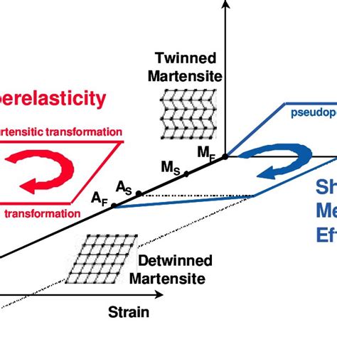 Principle Of Shape Memory Alloy Constitutive Behaviour Download Scientific Diagram