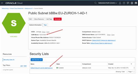 Connect Python To Oracle Dbaas Database And The Vcn Security Gianni
