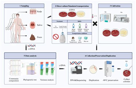 5 Types Of Microorganisms 5 Types Of Microorganisms