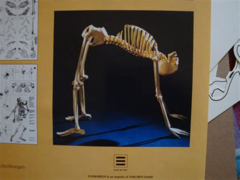 Lab Skeleton