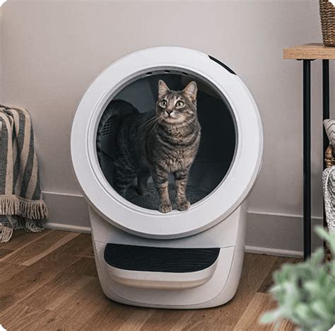 Litter Robot Litières Autonettoyantes Intelligentes Litter Robot