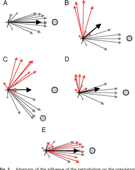 Figure 1 From Functional Network Reorganization During Learning In A Brain Computer Interface