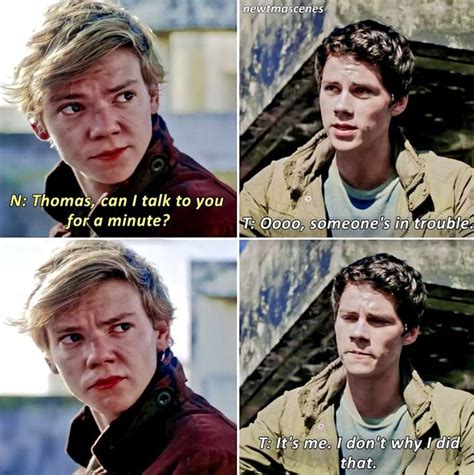 Newtmas Thomas X Newt MazeRunner In 2024 Maze Runner Funny Maze Runner Movie Newt Maze Runner