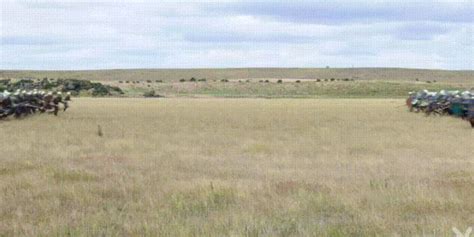 When I Run A Git Merge Without Checking Anything The Coding Love Programmer Humor S