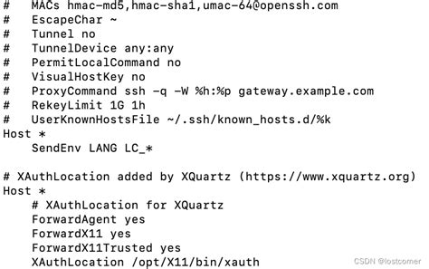 Macbook Pro通过ssh显示linux服务器上的图形化界面｜xquartz｜royal Tsxmac连接linux图形界面 Csdn博客