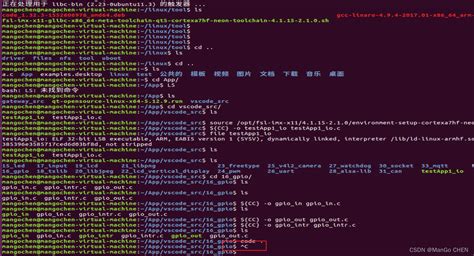 vmware虚拟机安装ubuntu系统在虚拟机中全屏以及主机和虚拟机之间文件的复制 win文字复制到linux csdn博客