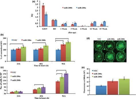 inverse correlation between expression of mir 200 mirnas and neuronal