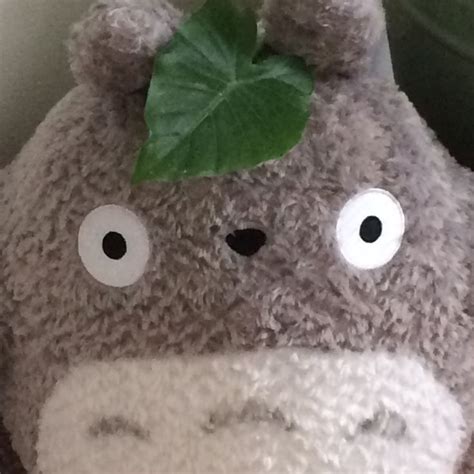 Pin On Notion Totoro Pretty Pictures Green Aesthetic Pin On Notion Totoro Pretty Pictures Green Aesthetic