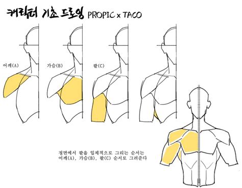 「정면에서 어깨 가슴 팔 순서로 그리면 입체적으로 덩어리 흐름이 잡힌다 」타코작가の漫画