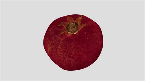 Pomegranate D Models Sketchfab