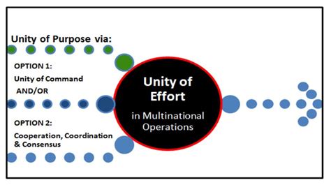 7 The Fundamental Principle Of “unity Of Effort” In Multinational