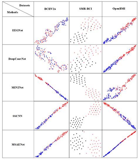subject independent eeg classification of motor imagery based on dual branch feature fusion
