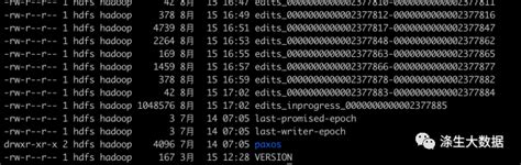 Hadoop实践指南揭秘HDFS元数据并解析案例 CSDN博客
