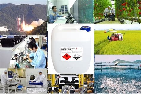 Ng D Ng C A Axit Axetic Trong Th C Ph M