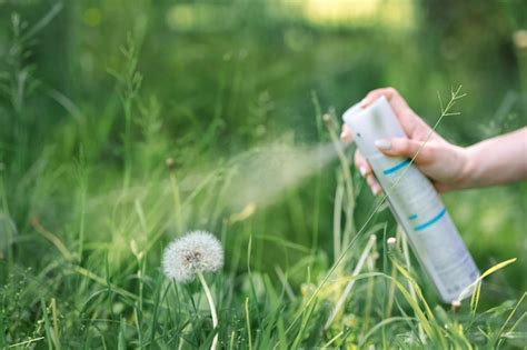Premium Photo Wreath Of White Dandelions Step By Step Instructions Step Woman S Hand