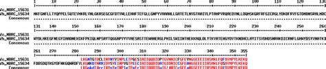 pairwise sequence alignment using multalin of the luxa amino acid