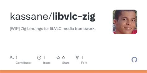 Zig Bindings For Libvlc Media Framework Rzig