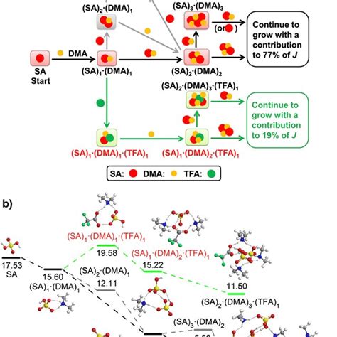 A Cluster Formation Routes Of The Sa‐dma‐tfa System At 280 K