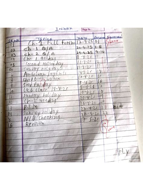 3rd Class Computer Work Pdf