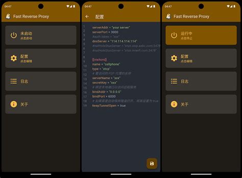 内网穿透 Frp 安卓版 开发调优 Linux Do 内网穿透 Frp 安卓版 开发调优 Linux Do