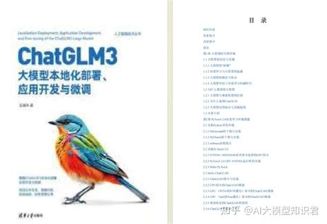 页 ChatGLM 大模型本地化部署应用开发与微调附完整版PDF 知乎