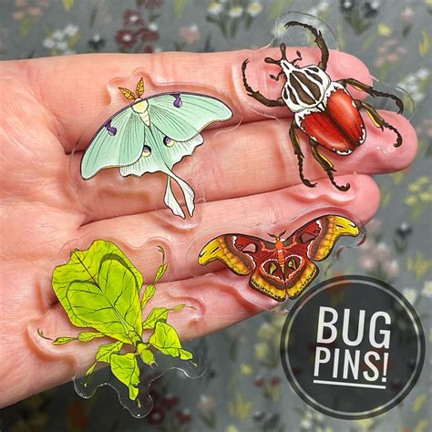 Bug Pin Collection Moth Beetle Acrylic Pins Etsy Acrylic Pins Pin
