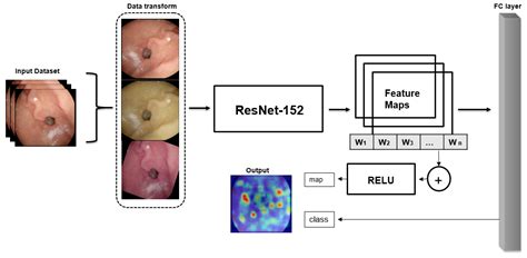 Endoscopic Image Classification Based On Explainable Deep Learning