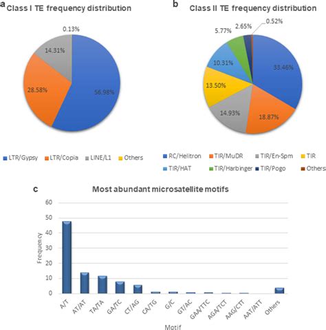 Repetitive Dna Characterization Statistics A Pie Chart Display Of The