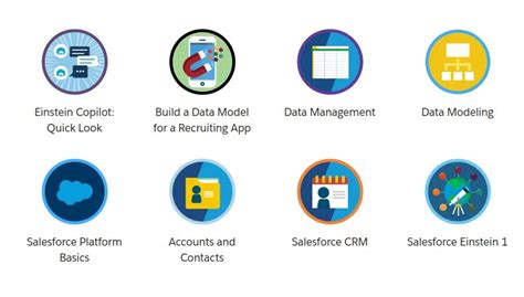 Kartavya Baluja On Linkedin Salesforcetrailhead Continuouslearning