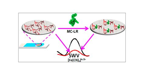Label Free Voltammetric Aptasensor For The Sensitive Detection Of Microcystin Lr Using Graphene