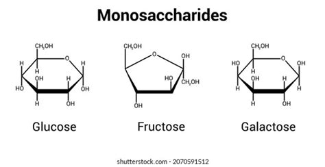 Fructose And Galactose Structural Formulas Fructose Galactose And