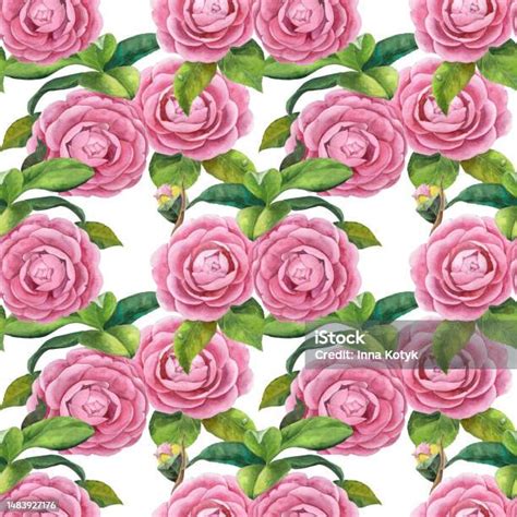 동백 꽃입니다 꽃 새싹 및 나뭇잎이있는 가지 매끄러운 배경 동양 스타일의 그림입니다 그래픽 아트 인쇄물 표지판 물건 사이트지도 포스터 엽서 포장을 사용하십시오 개념에 대한