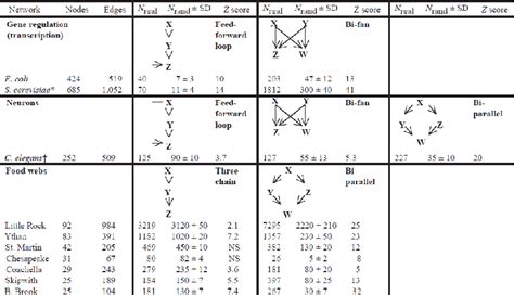 Figure 2 From Analysis Of Biological Networks Network Motifs Ppi Networks Data Preprocessing
