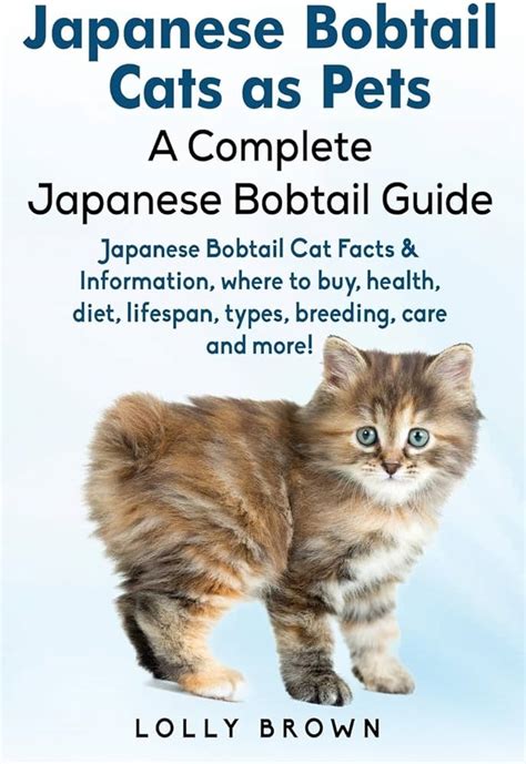 Japanese Bobtail Characteristics Of Breeds Of Cats Care