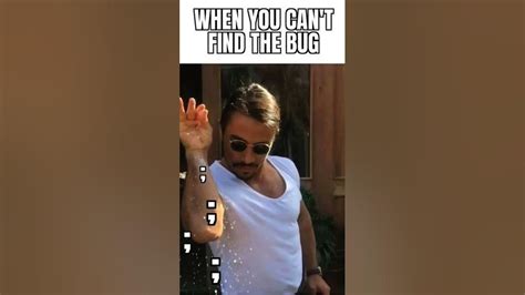 Didnt Find The Bug Bug Bugfixing Debugging Codedebugging Coding Comedy Programming