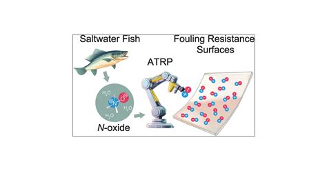 Bioinspired N Oxide Based Zwitterionic Polymer Brushes For Robust