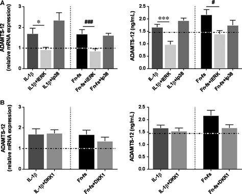 Adamts‐12 Expression In Oa‐sf After Inhibition Of Runx2 And Download Scientific Diagram