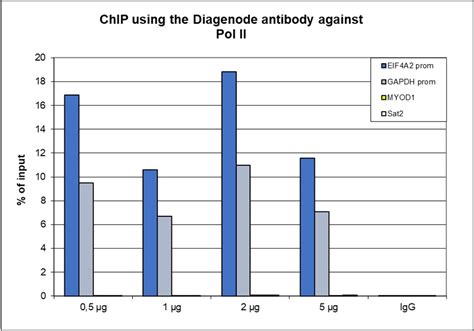 Pol Ii Monoclonal Antibody Chip Results