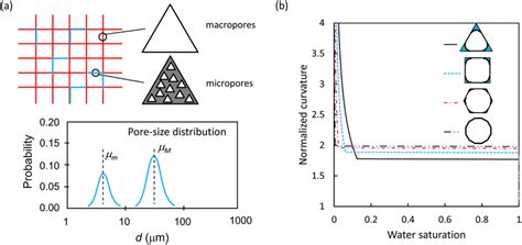 Numerical Methods A Pore‐network Structure The Pore Network Download Scientific Diagram